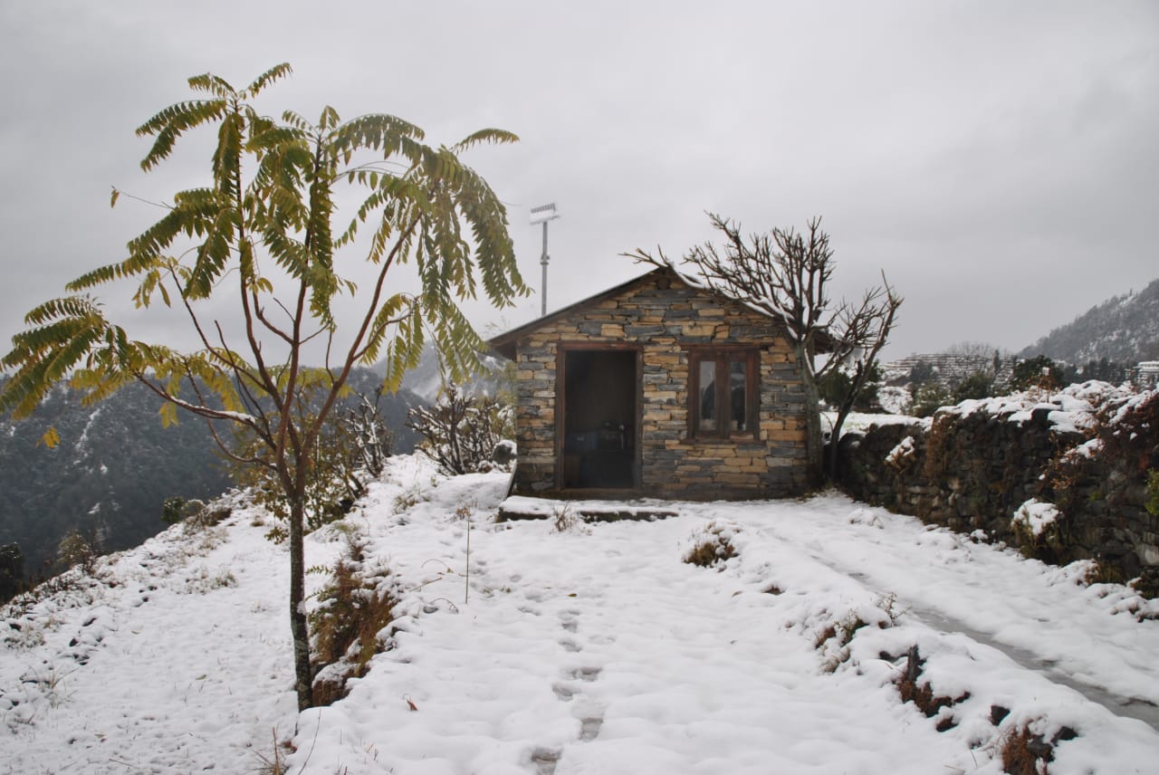 Himalayan Beach Waves – Snow Special - Pugmarks