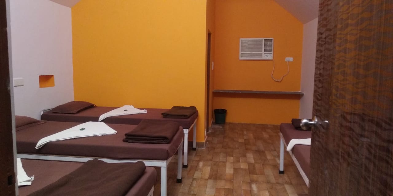 Magic Forest- Vikramgad - Pugmarks