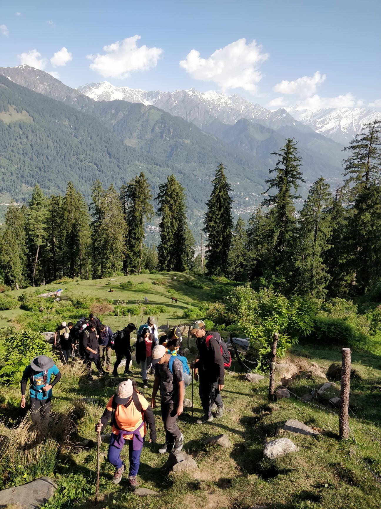 Manali Hamta Snow Valley - Pugmarks