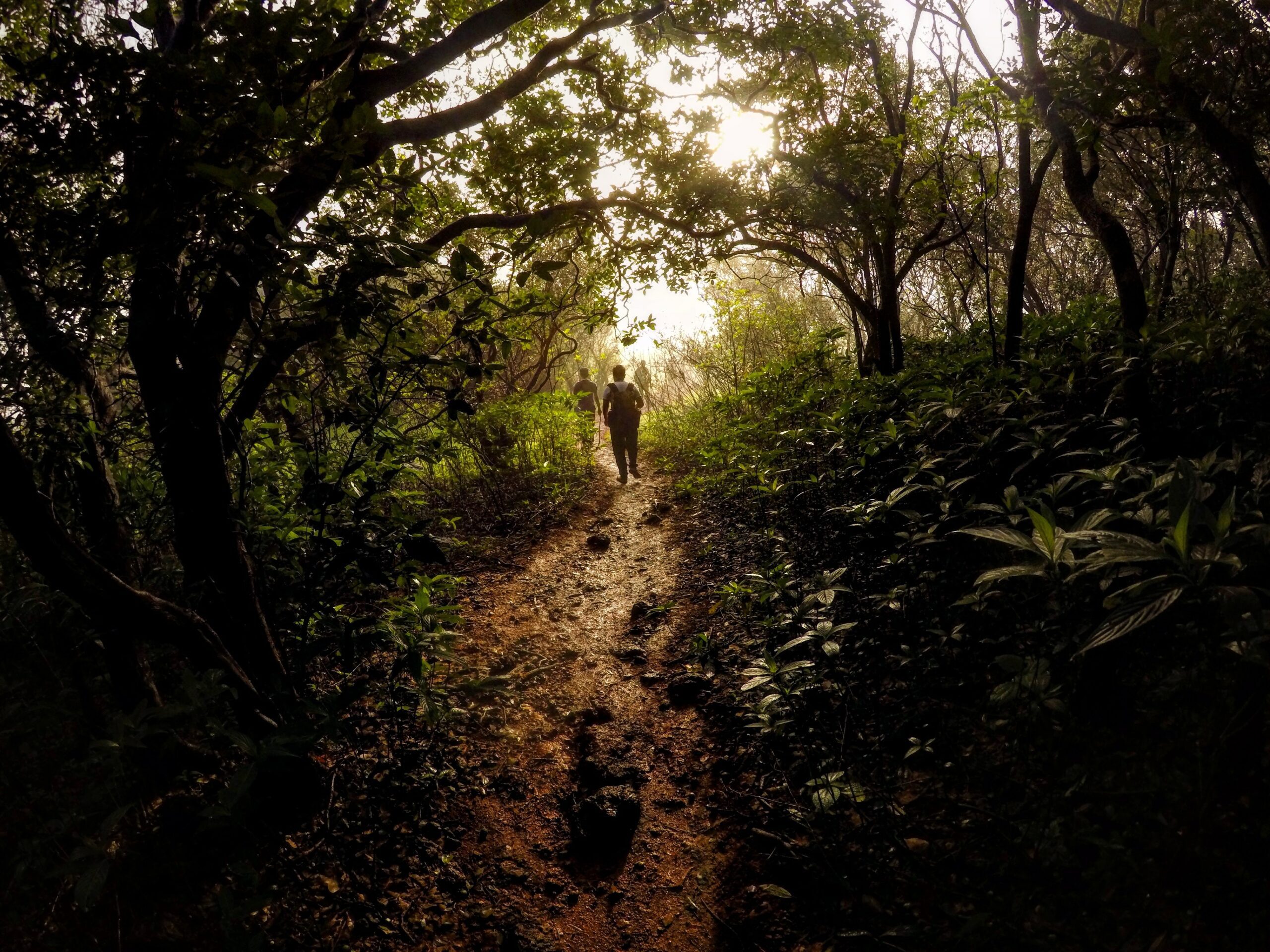 Summer Camps for Kids and Young People